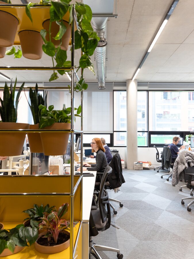 Bolon | AHMM Bristol